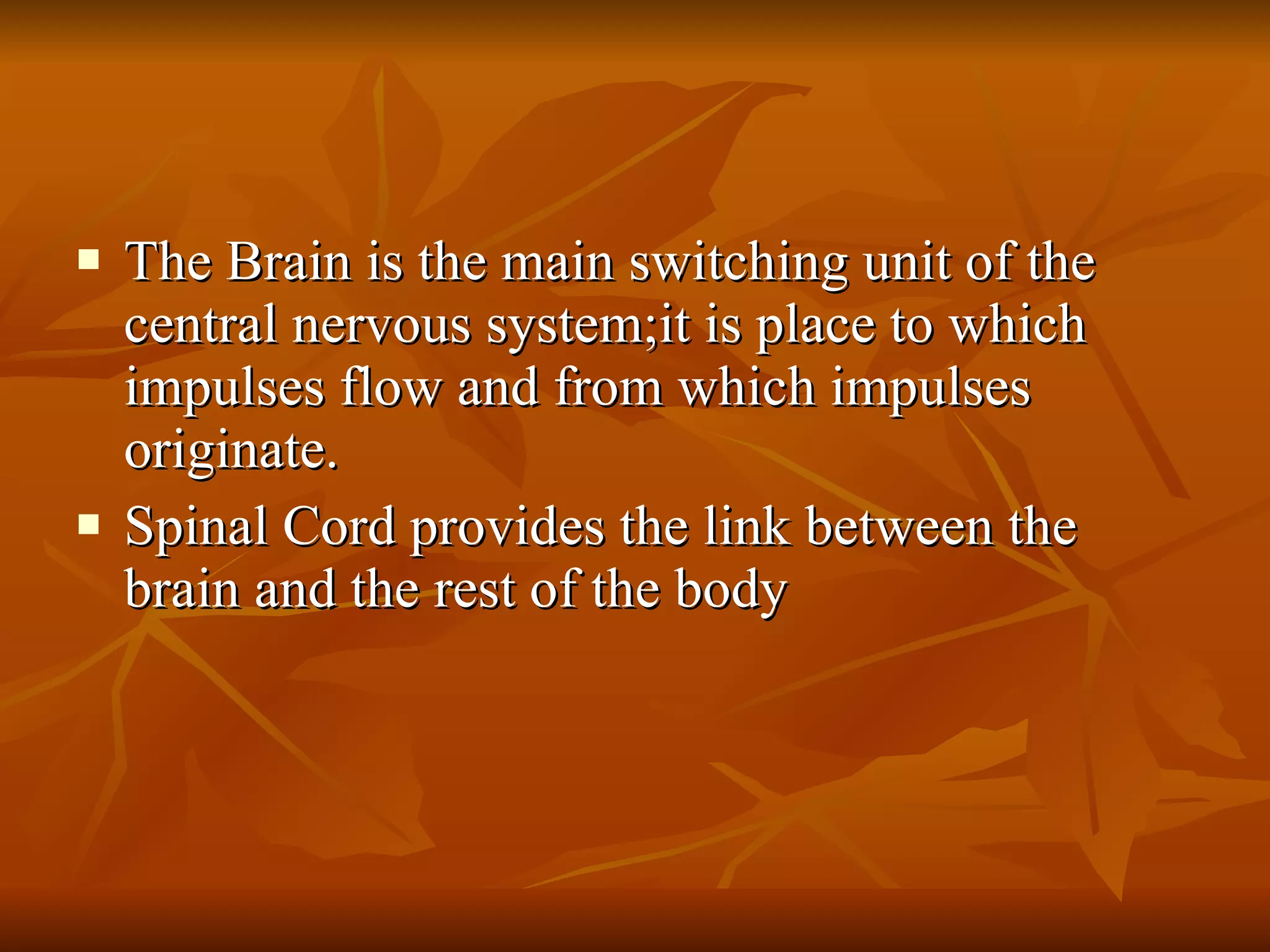 Brain And Five Senses | PPT