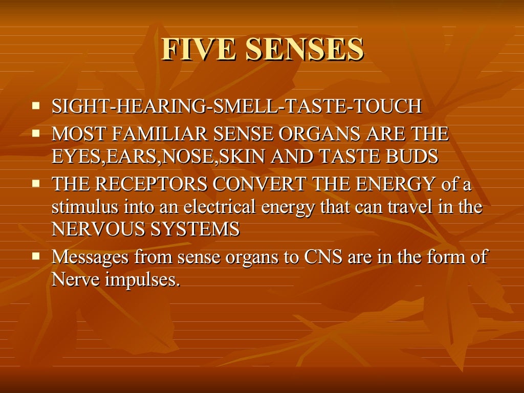 Brain And Five Senses