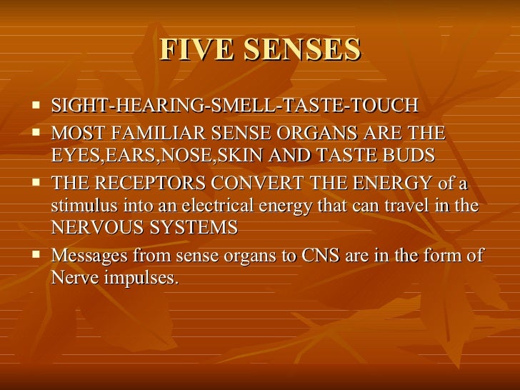Brain And Five Senses