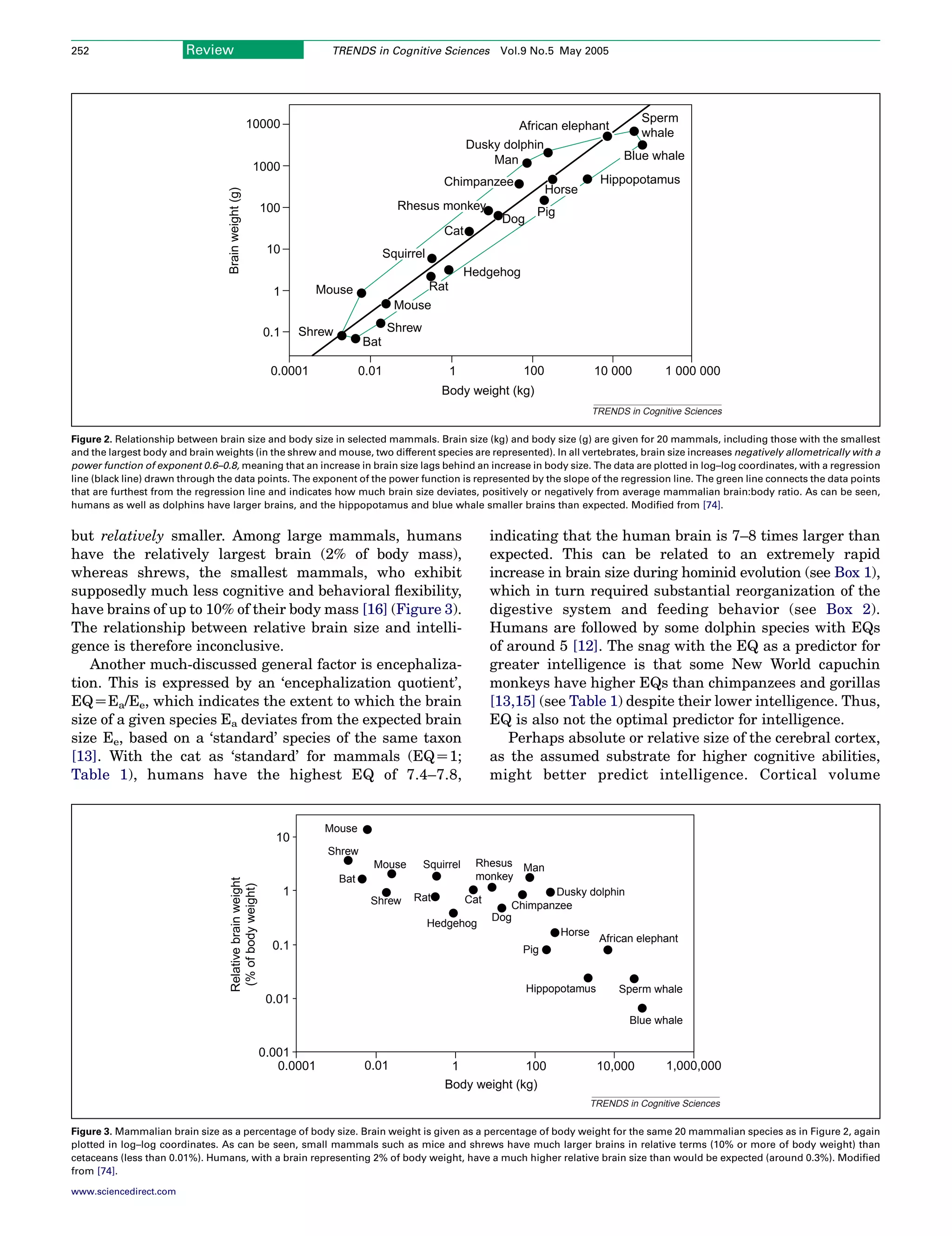 Brain and intelligence evol | PDF