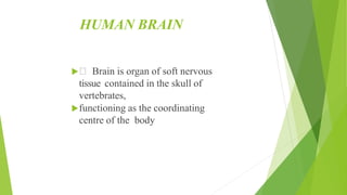 BRAIN AND ITS PARTS.pptx