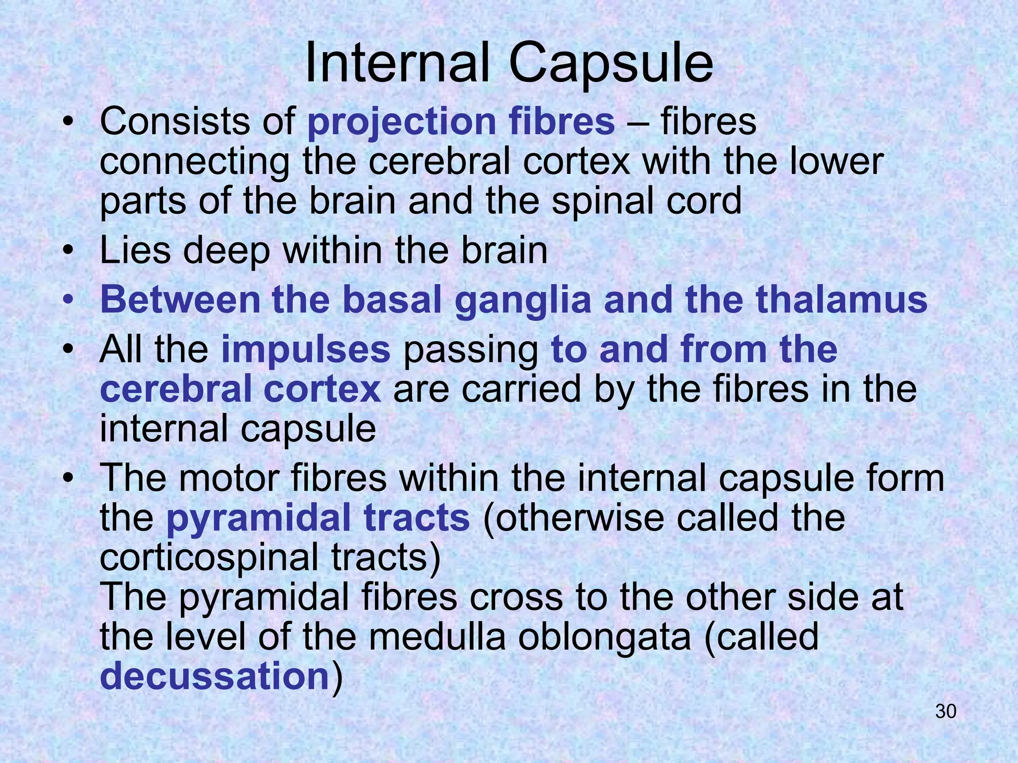 Brain And Its Parts2 | PPT