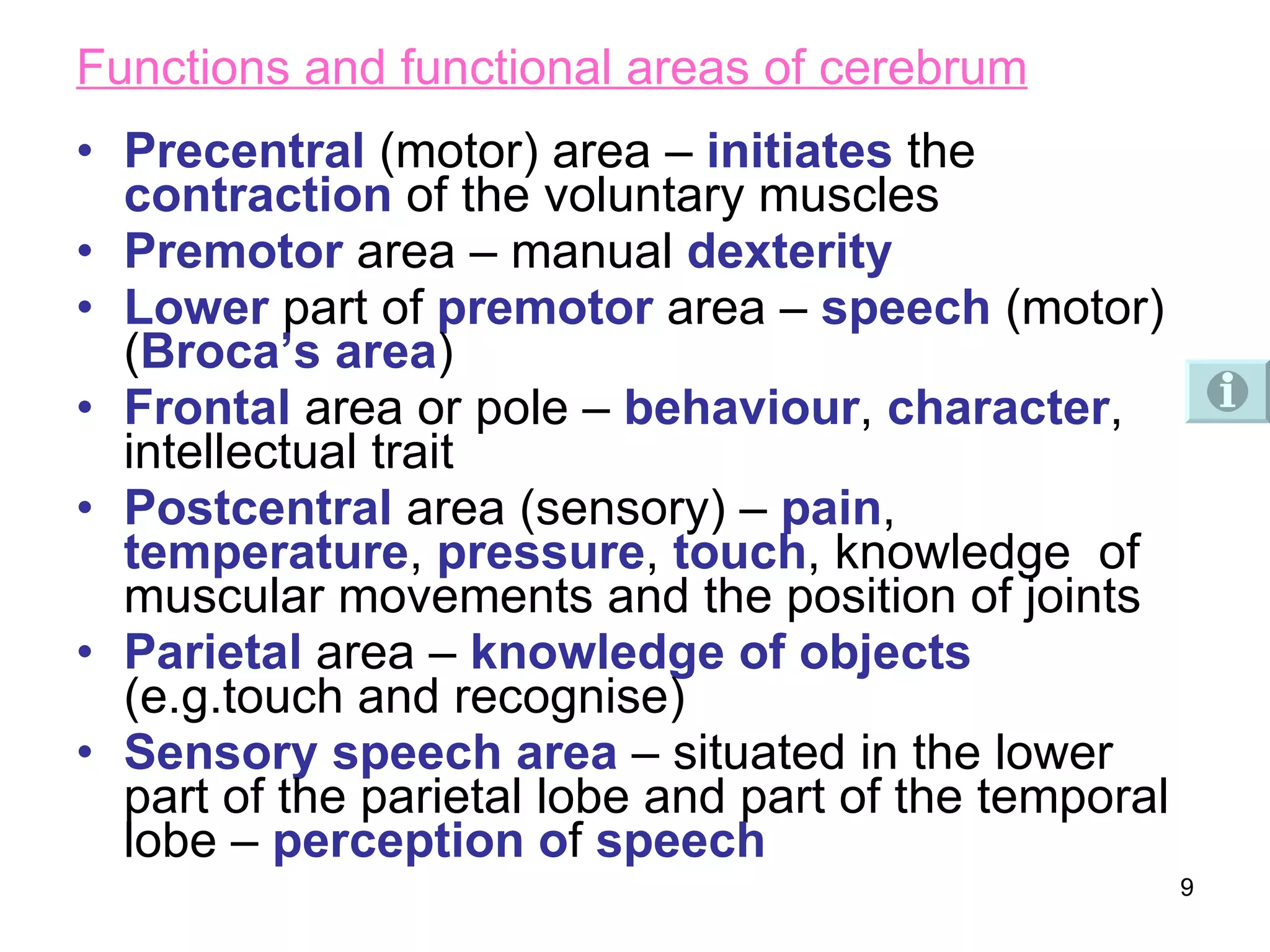 Brain And Its Parts2 | PPT