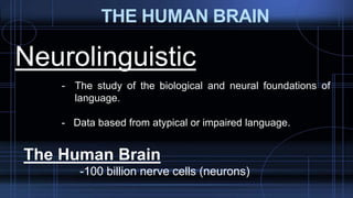 Brain and Language | PPTX