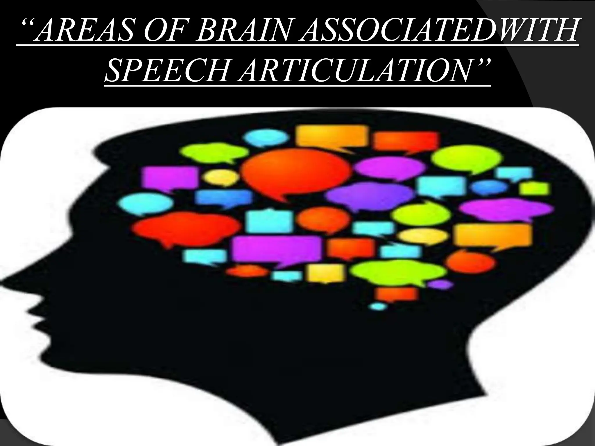 Brain and Language final 1 ggghhhhh.pptx | Brain and Nervous System ...