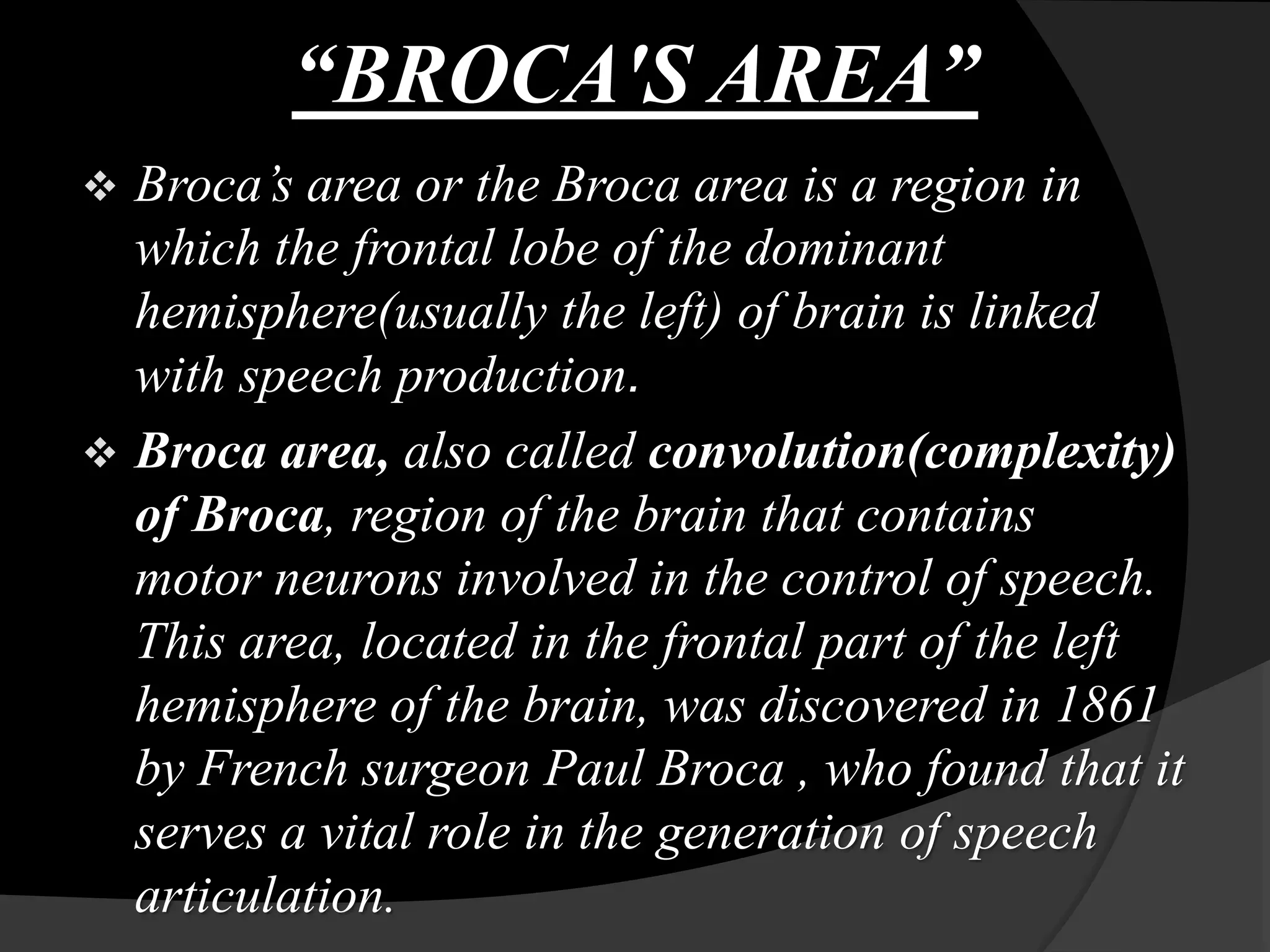 Brain and Language final 1 ggghhhhh.pptx | Brain and Nervous System ...