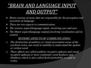 Brain and Language final 1 ggghhhhh.pptx | Brain and Nervous System ...