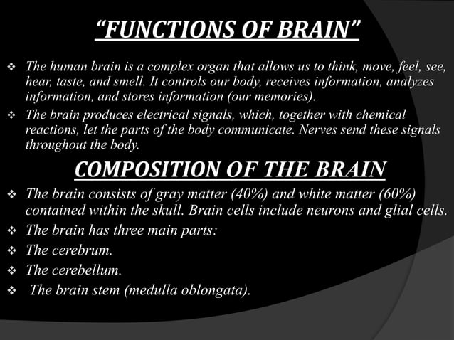 Brain and Language final 1 ggghhhhh.pptx | Brain and Nervous System ...