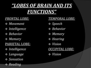 Brain and Language final 1 ggghhhhh.pptx | Brain and Nervous System ...
