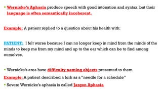 Brain and language | PDF