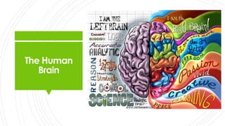 Brain and language | PDF