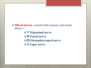 Brain and nerve | PPTX