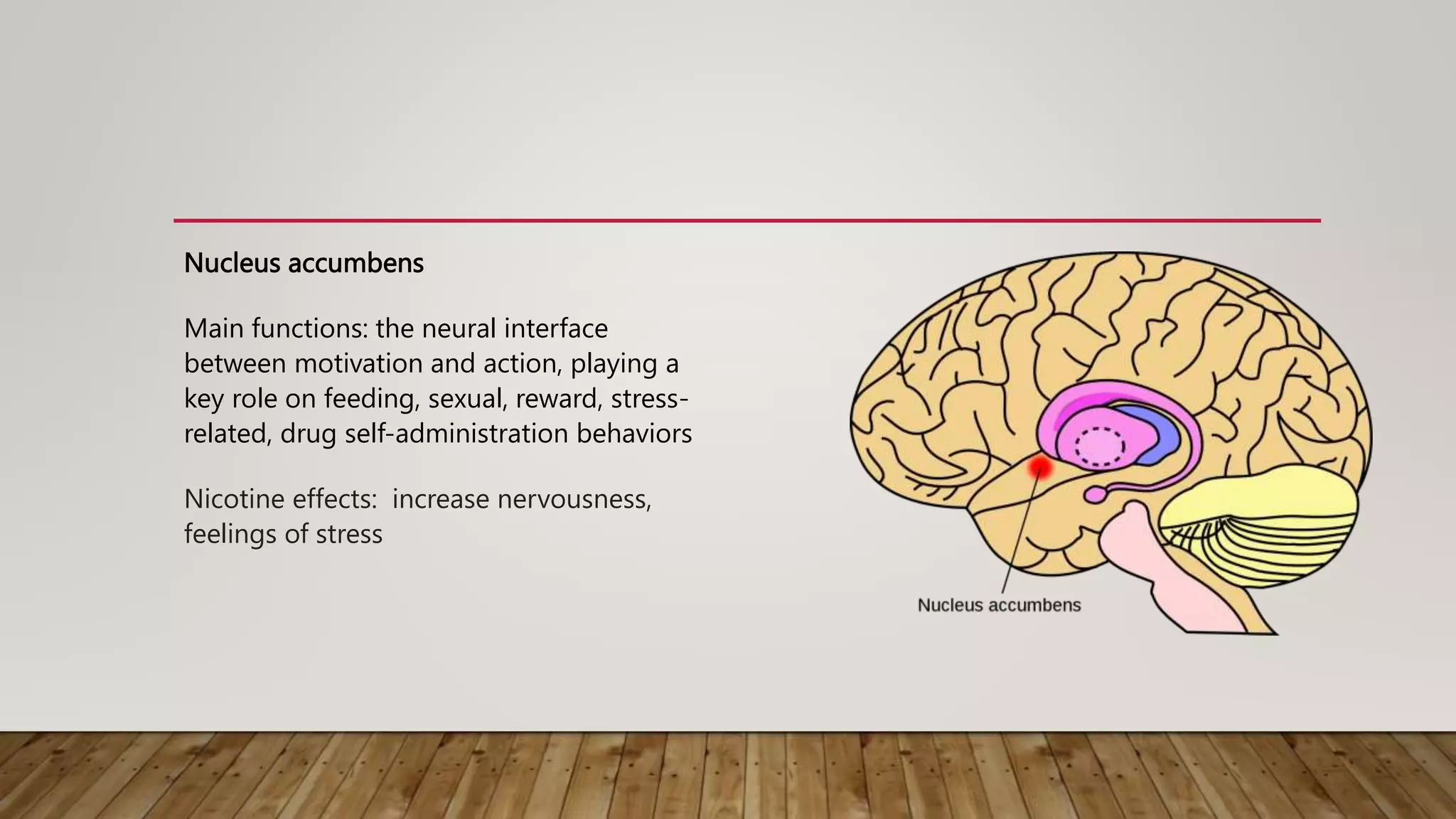 Brain and nicotine addiction.pptx | Smoking Cessation | Wellness