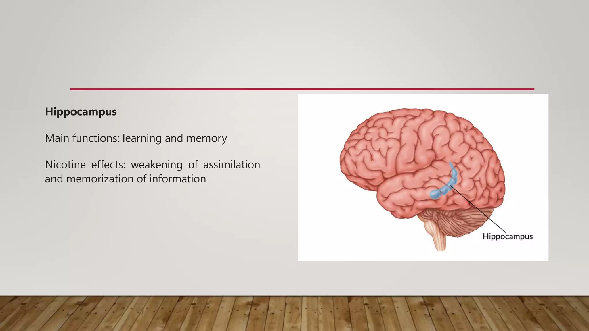 Brain and nicotine addiction.pptx | Smoking Cessation | Wellness