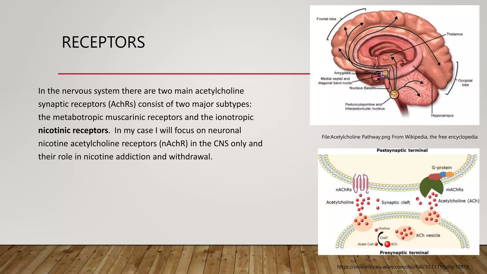 Brain and nicotine addiction.pptx | Smoking Cessation | Wellness
