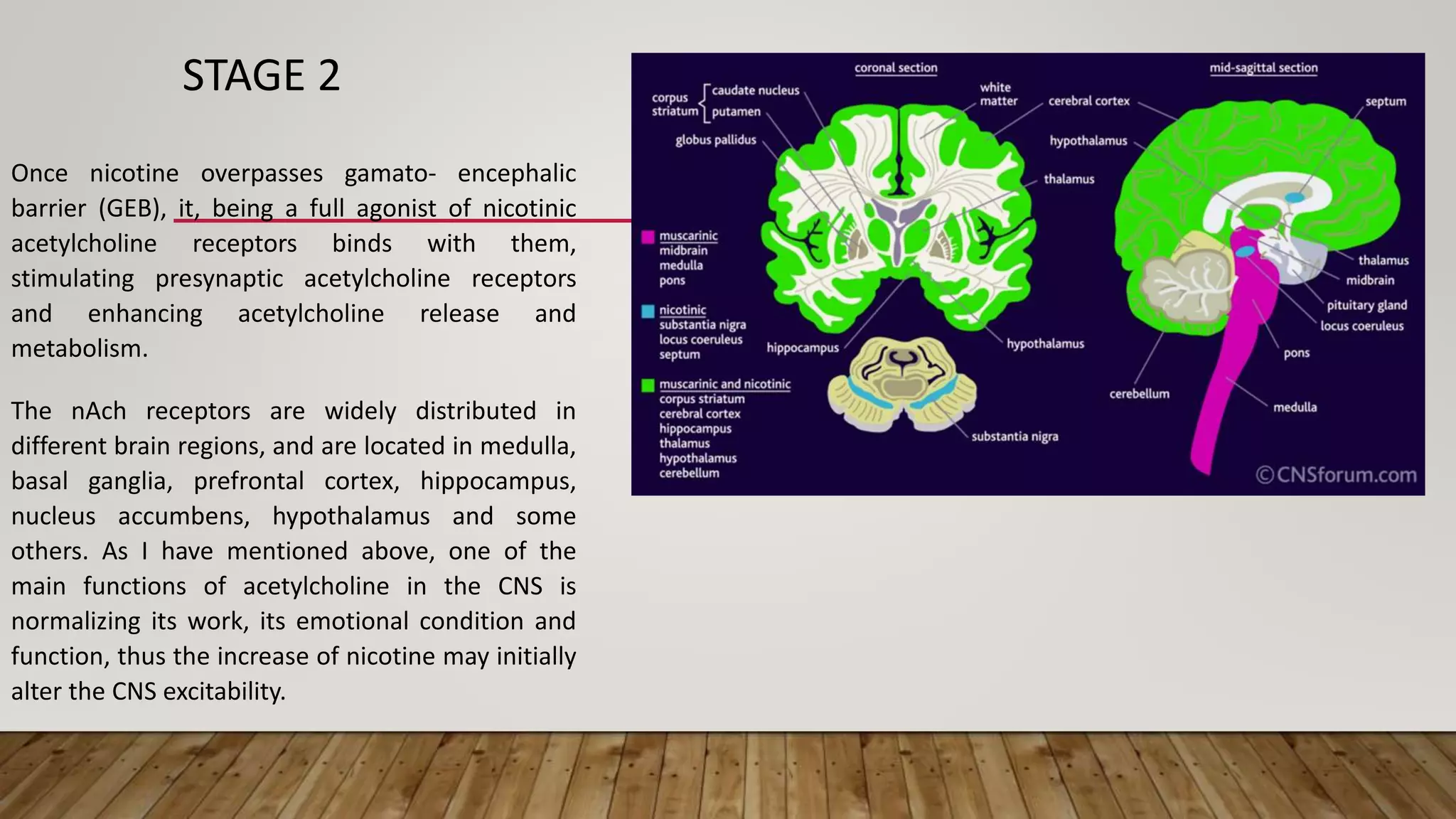 Brain and nicotine addiction.pptx | Smoking Cessation | Wellness