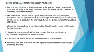 BRAIN AND PERSONALITY in Psychology.pptx