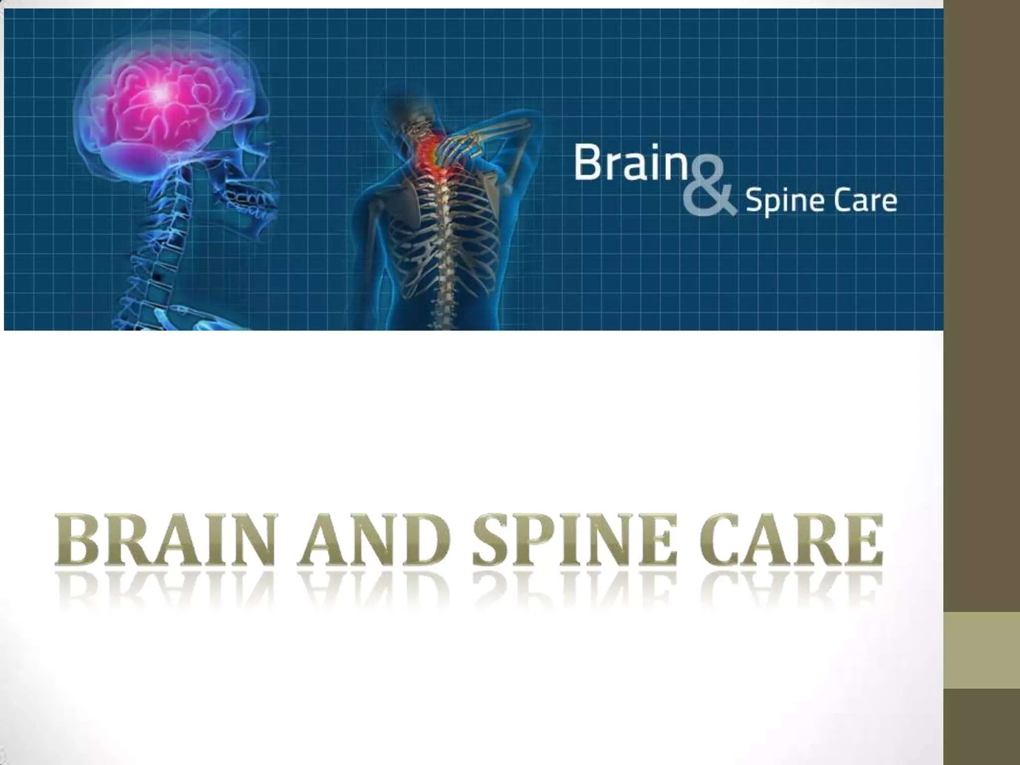Brain and spine care | PPT