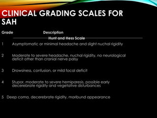 Brain Aneurysm Coiling : Endovascular Coiling of Intracranial Aneurysms ...