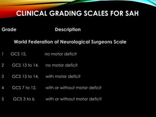 Brain Aneurysm Coiling : Endovascular Coiling of Intracranial Aneurysms ...
