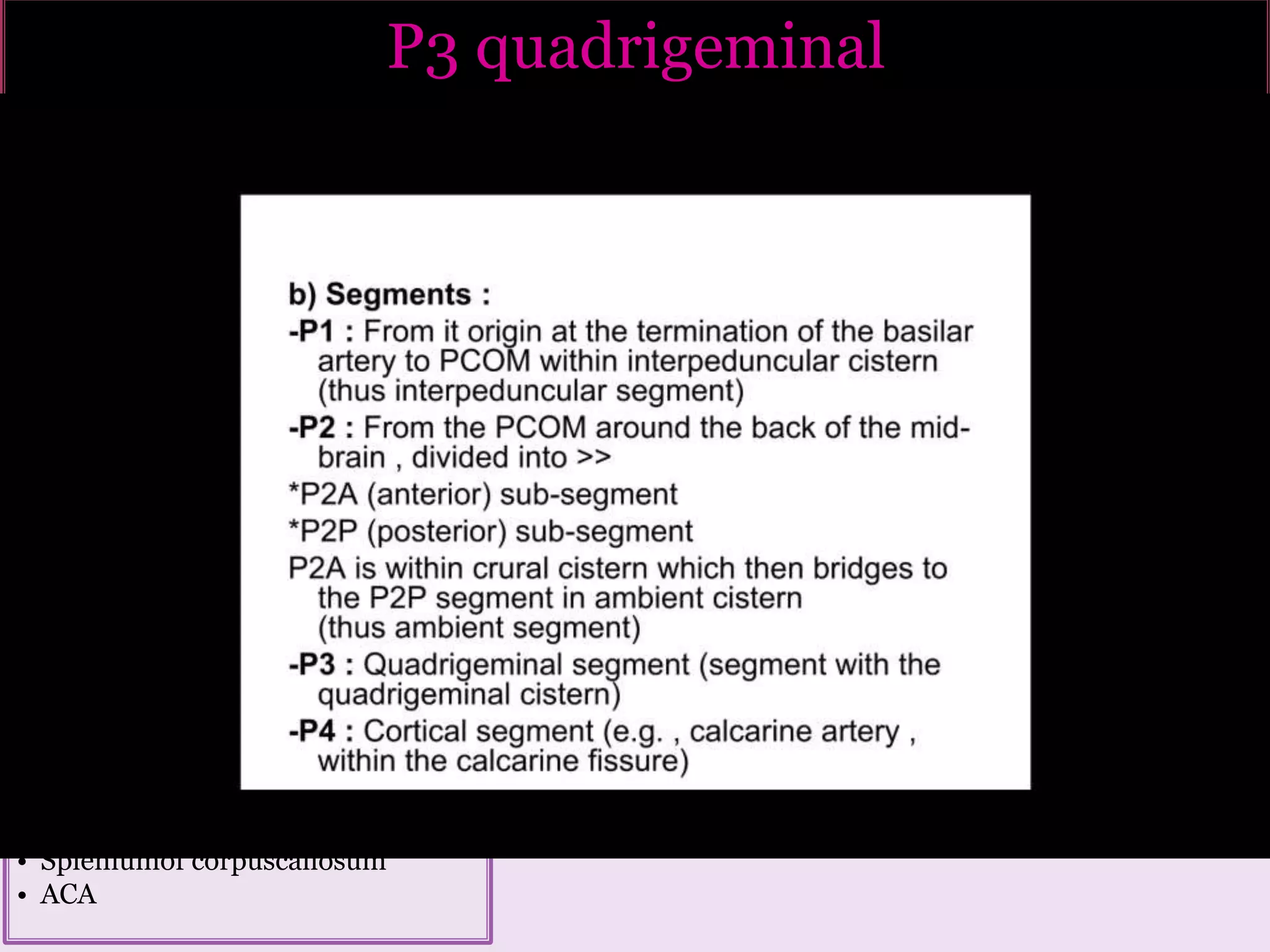 brain arterial anatomy 2vish.pptx