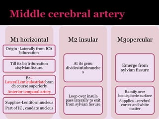 brain arterial anatomy 2vish.pptx