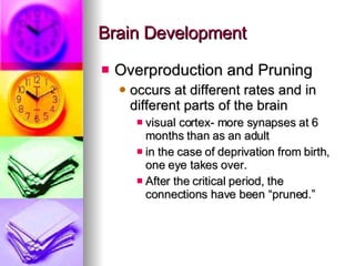 Brain-Based Learning | PPT
