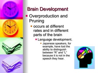 Brain-Based Learning | PPT