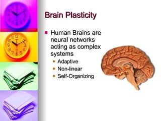 Brain-Based Learning | PPT