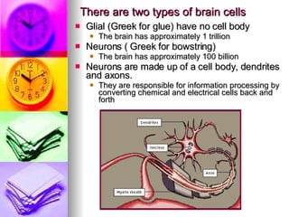 Brain-Based Learning | PPT