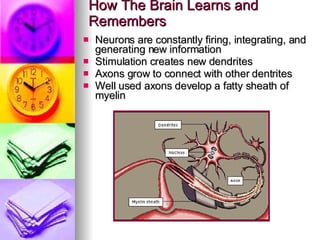 Brain-Based Learning | PPT