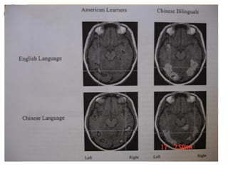 Brain Based Chinese Learning Nycaflt | PPT