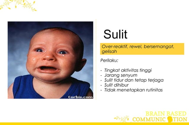 Brain based communication communibiology | PPT