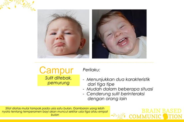 Brain based communication communibiology | PPT