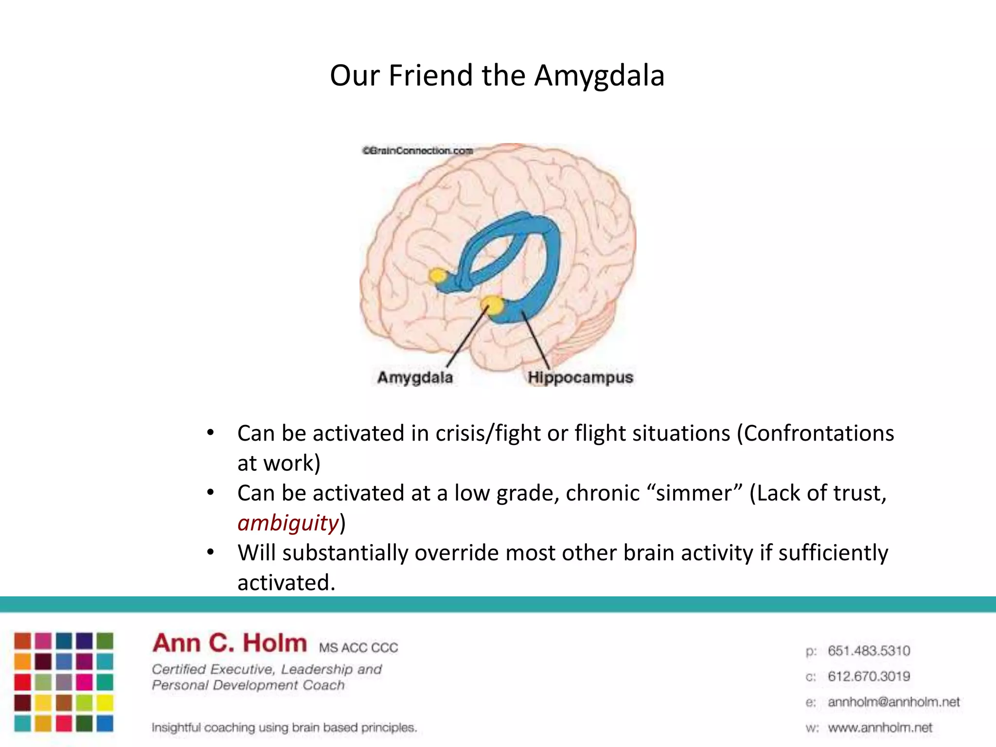 Brain based leadership | PPTX