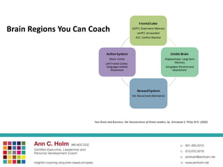 Brain based leadership | PPT