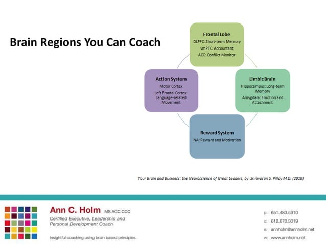 Brain based leadership | PPT