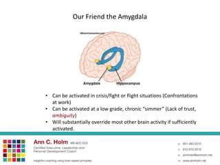 Brain based leadership | PPT