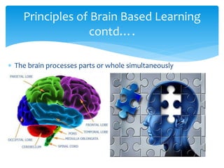 Brain based learning | PPTX