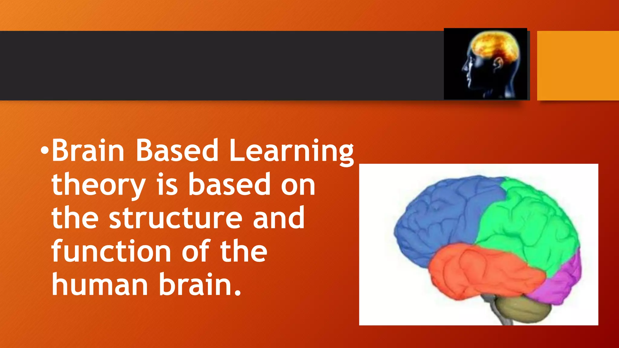 Brain based learning | PDF