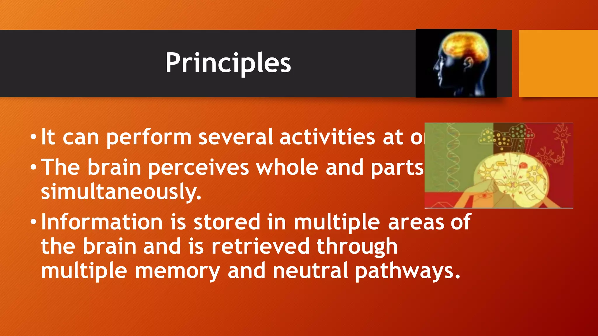 Brain based learning | PDF