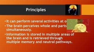 Brain based learning | PDF