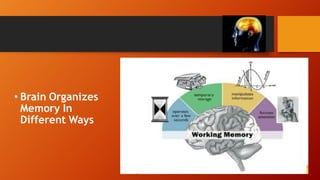 Brain based learning | PDF