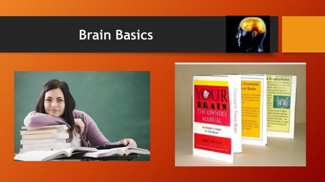Brain based learning | PDF