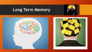 Brain based learning | PDF