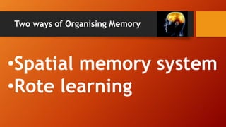 Brain based learning | PDF