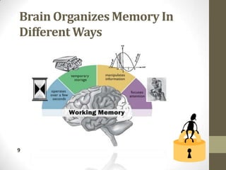 Brain Based Learning | PPTX