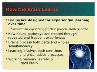 Brain-Based Training & Development | PPT