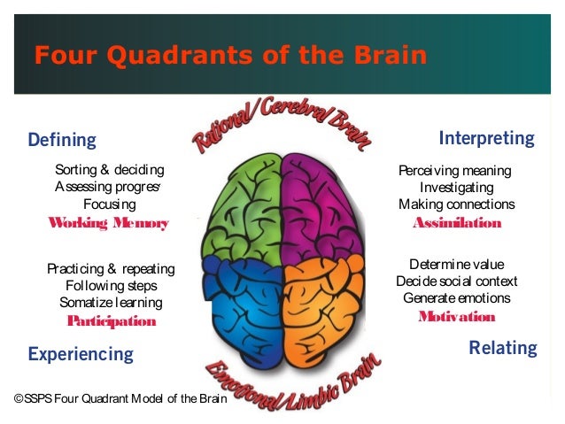 Brain-Based Training & Development