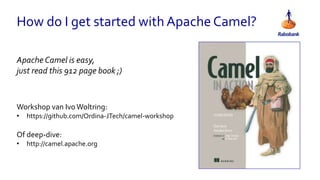 Brain bit camel | PPT